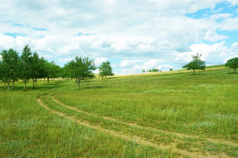 Rural landscape stock image. Image of forest, road, lane - 21632451