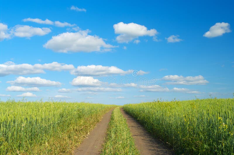 Rural landscape stock image. Image of outdoor, scenic - 23837341