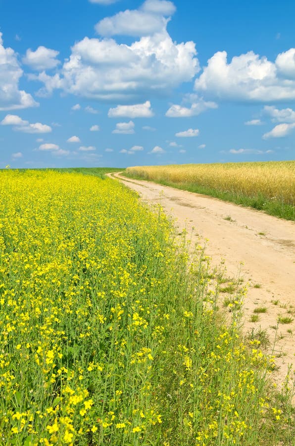 Rural Landscape Picture. Image: 26032958