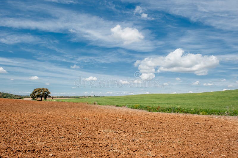 Rural landscape stock image. Image of clouds, soil, summer - 26594169