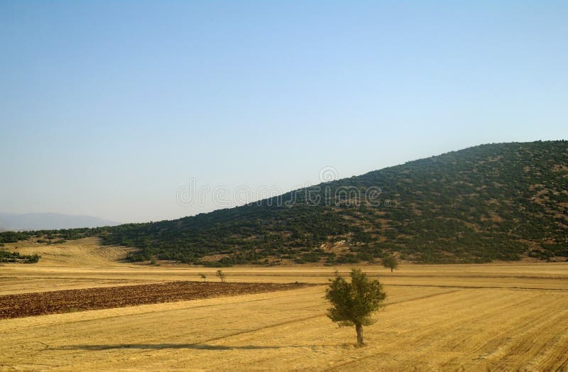 Rural landscape, stock image. Image of country, turkey - 28388845