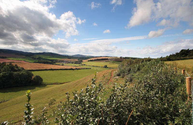 Rural Landscape stock photo. Image of fields, farming - 3296088