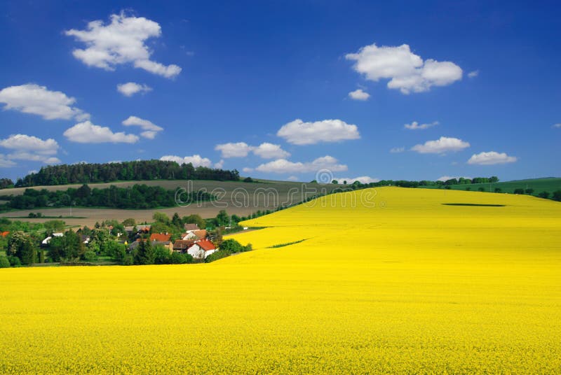 Rural landscape stock image. Image of farmland, growning - 6821681