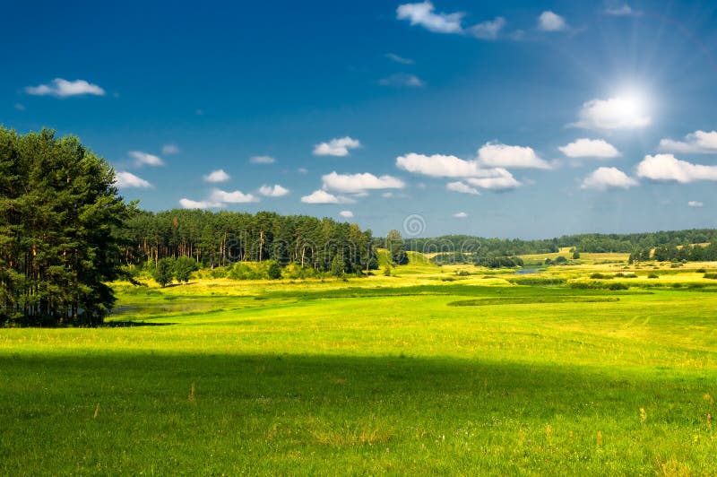 Rural Landscape with Two Trees Stock Image - Image of country, nature ...