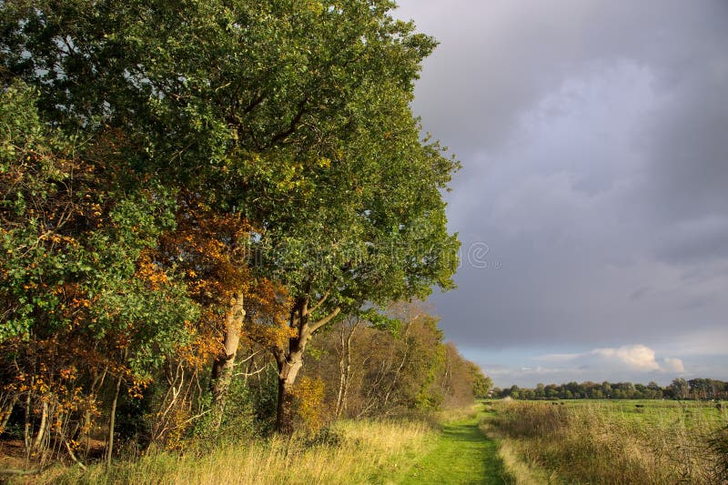 Rural landscape in autumn stock image. Image of rural - 22247403