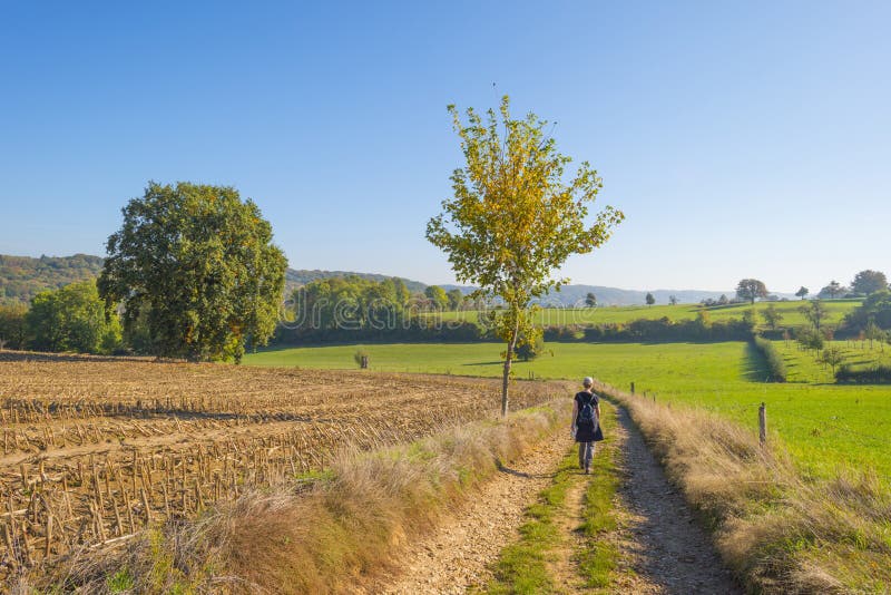 Rural Landscape in Autumn Colors in Sunlight at Fall Editorial ...