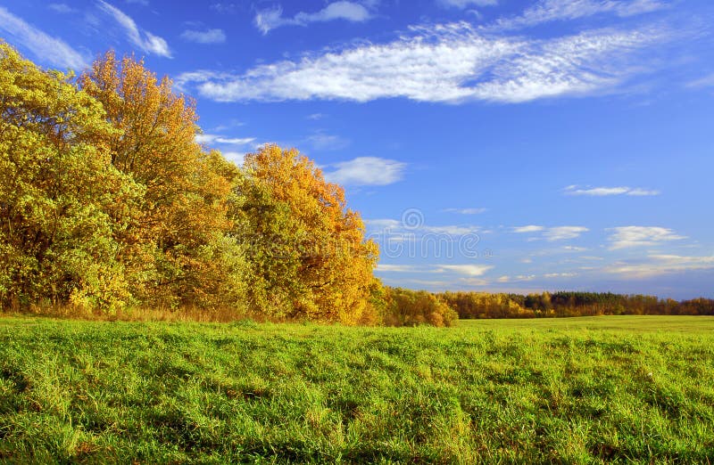 Rural landscape in autumn stock image. Image of tree - 45621443