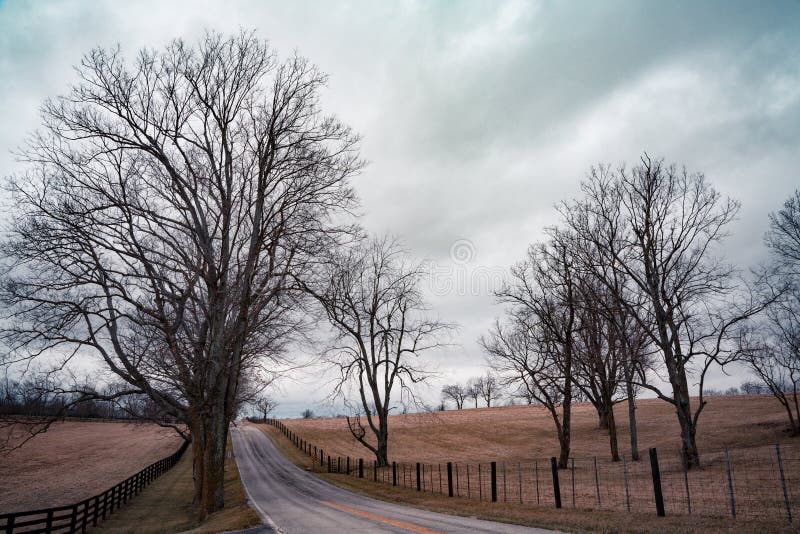Rural Landscape with Bare Trees and Road Seen from Kentucky Stock Image ...