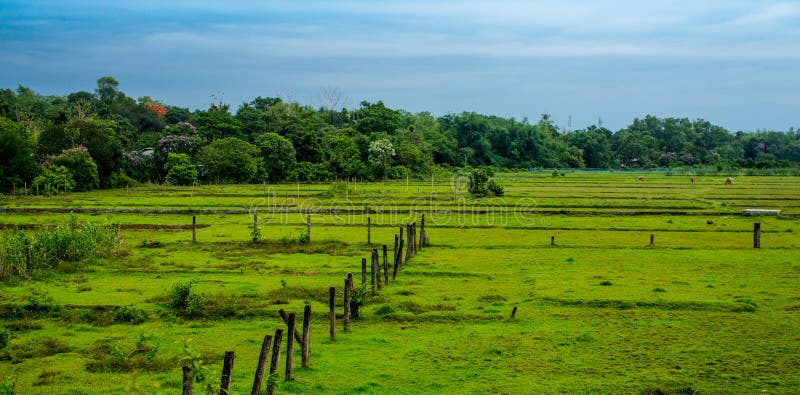 Rural landscape stock image. Image of green, colourful - 115955991