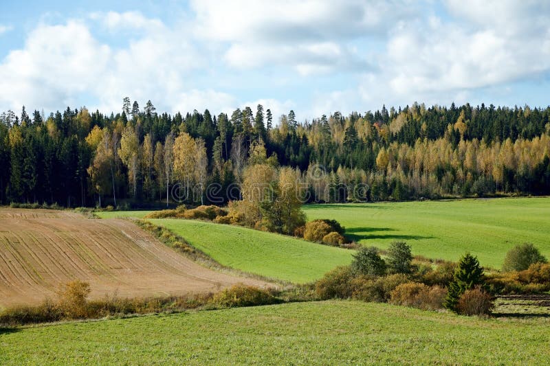 Rural Landscape with Blue Sky and Clouds in Finland Stock Photo - Image ...