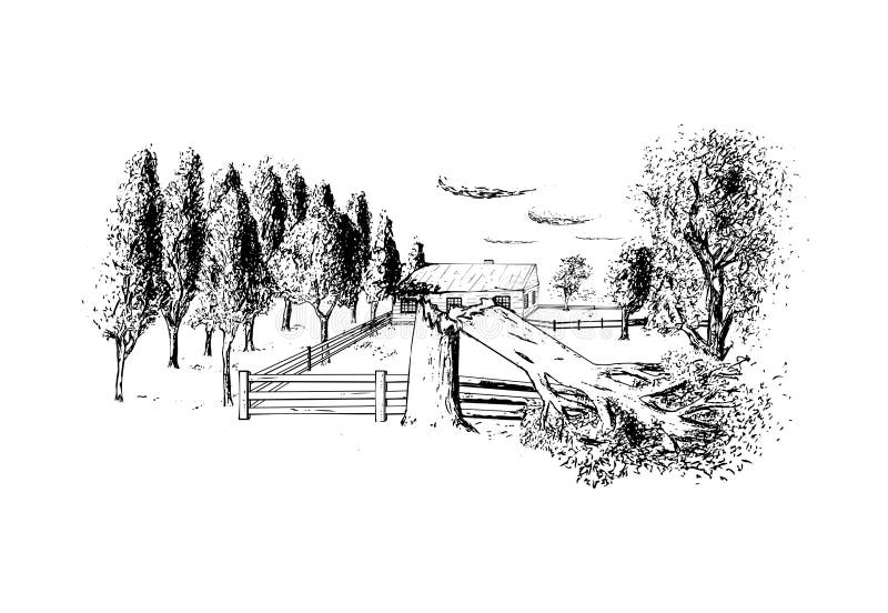 Rural Landscape with Broken Tree Stock Vector - Illustration of country ...