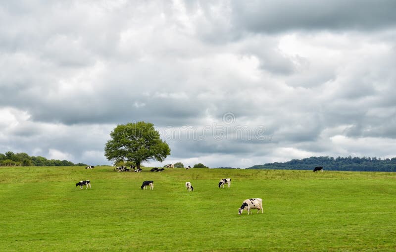 Rural Landscape in Central France Stock Image - Image of agriculture ...