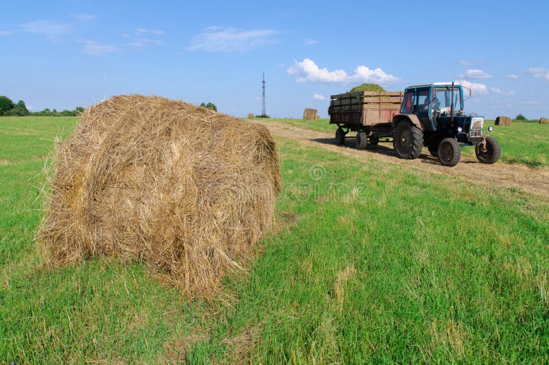 Rural Landscape of Central Russia Editorial Stock Image - Image of farm ...