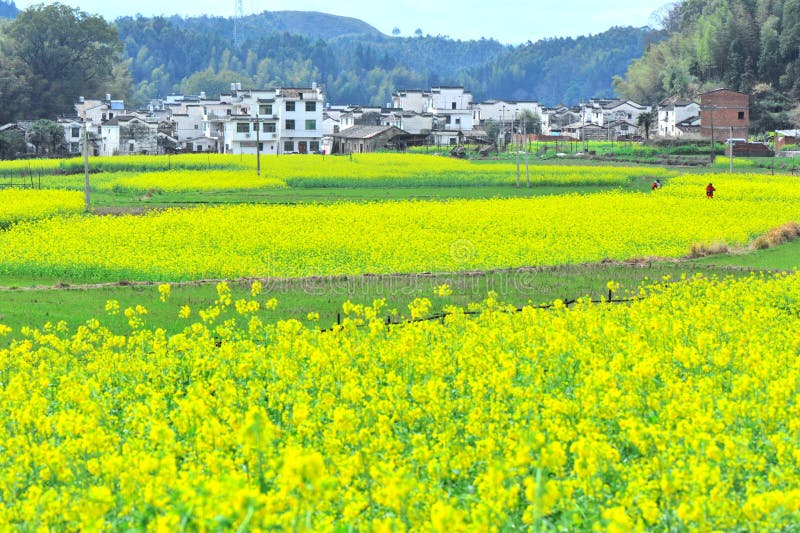 Rural landscape at china stock image. Image of dwellings - 24307059