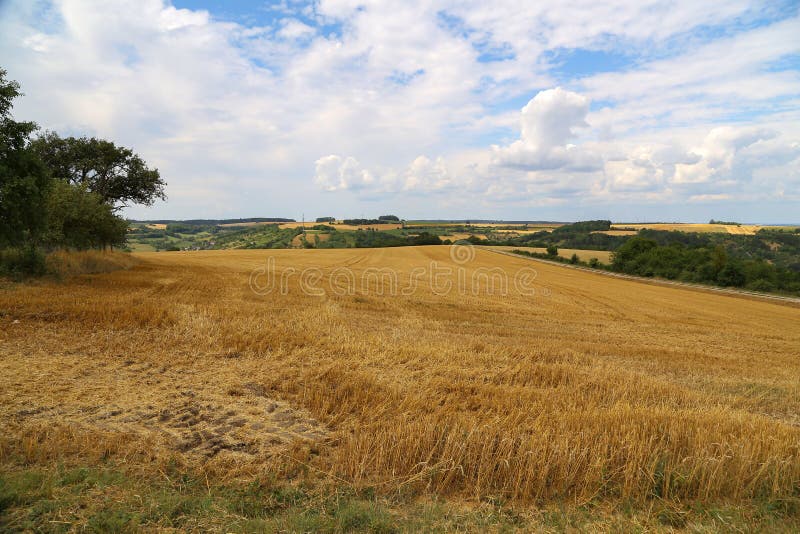 Rural Landscape. Rural Landscape with Cleared Wheat Fields Stock Photo ...