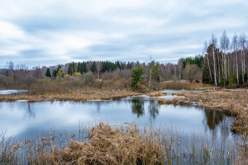 Rural Landscape on a Cloudy Spring Day. Stock Photo - Image of summer ...