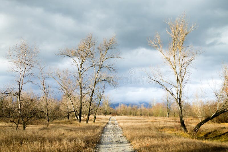 Rural Landscape, Dirt Path through Countryside Stock Photo - Image of ...