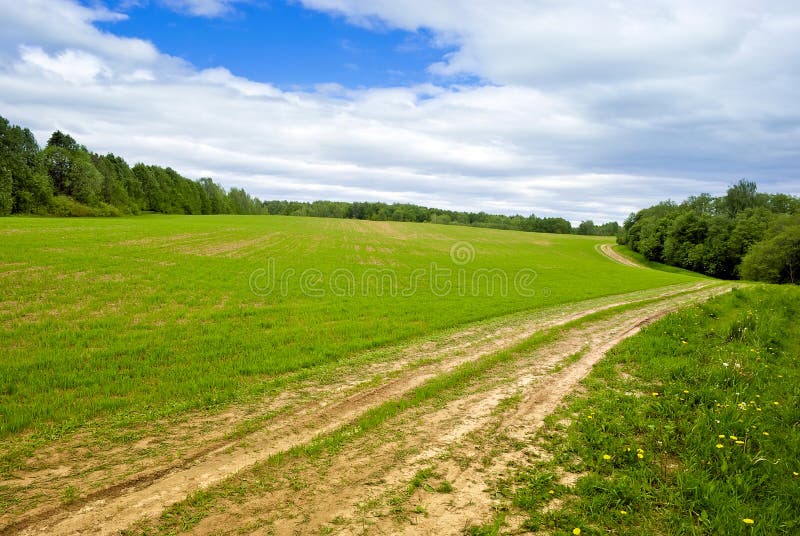 Rural Landscape. Dirt Road in the Field, Going Beyond the Horizon ...