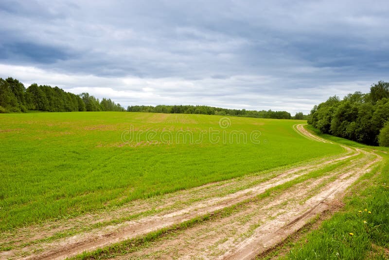 Rural Landscape. Dirt Road in the Field, Going Beyond the Horizon ...
