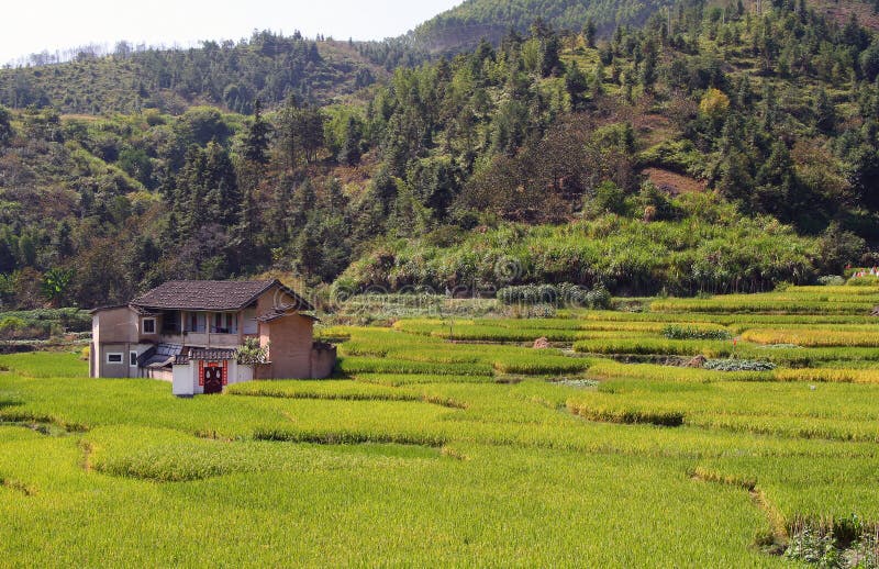 Chenqi Fujian Tulou stock photo. Image of hakkas, unesco - 4708818