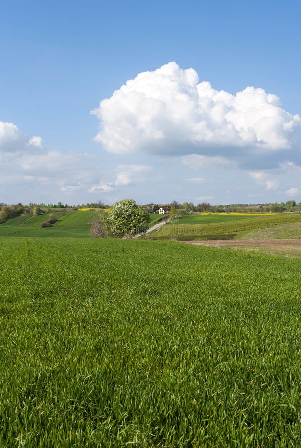 Rural Landscape Eastern Poland Stock Photo - Image of orange, east ...