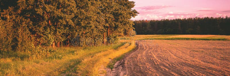 Rural Landscape in the Evening at Sunset. an Arable Field on the Edge ...