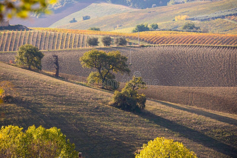 Rural Landscape in Fall with Farm Fields and Country House Stock Image ...