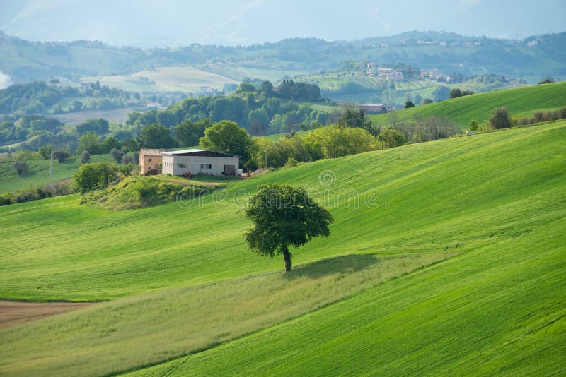 Rural Landscape with Farm Fields and Trees Stock Photo - Image of ...