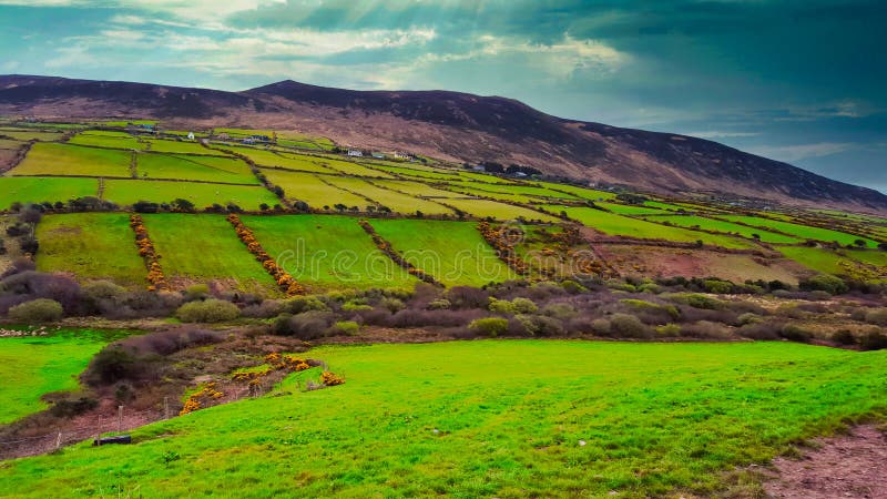 Rural Landscape for Farming in Ireland Stock Image - Image of farmland ...
