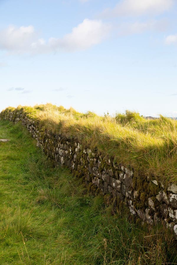 Rural Landscape Featuring an Aged Stone Wall Covered with Greenery ...