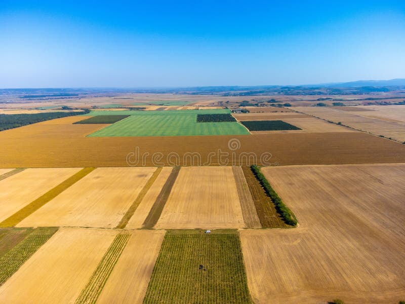 Rural Landscape Featuring a Wide Open Field of Golden Crops. Stock ...