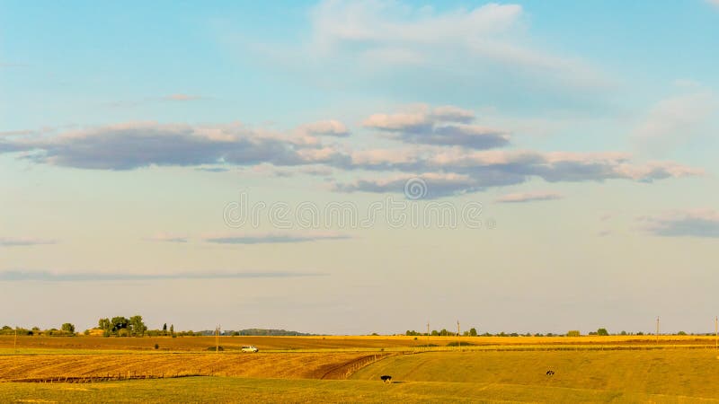 Rural Landscape with Field and Picturesque Sky during Sunset Stock ...