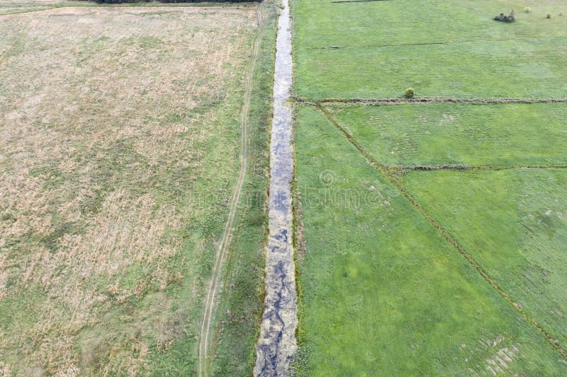 Rural Landscape, Fields, Meadows, Streams View from the Drone Stock ...