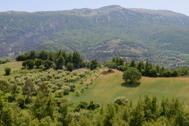 Rural Landscape with Fields and Mount Erymanthos in Greece Stock Photo ...