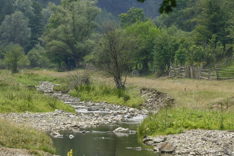 Rural Landscape with Flowing Little Stream Stock Image - Image of ...