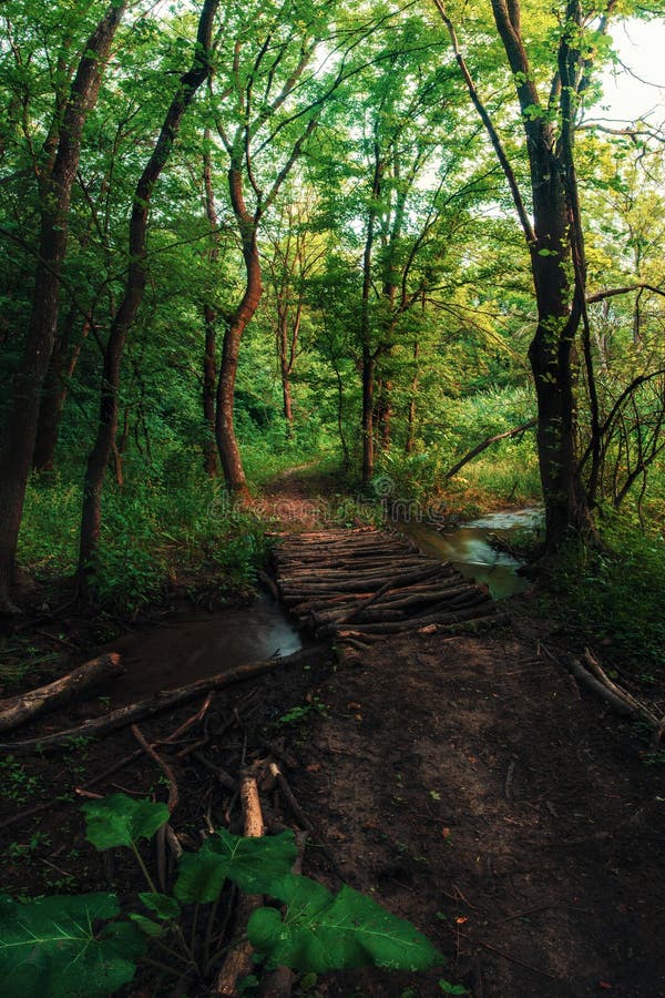 Rural Landscape of a Forest Path and a Bridge Over a Stream Stock Photo ...