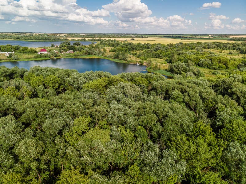 Rural Landscape with Forest and Ponds in Russia, Top View Stock Photo ...