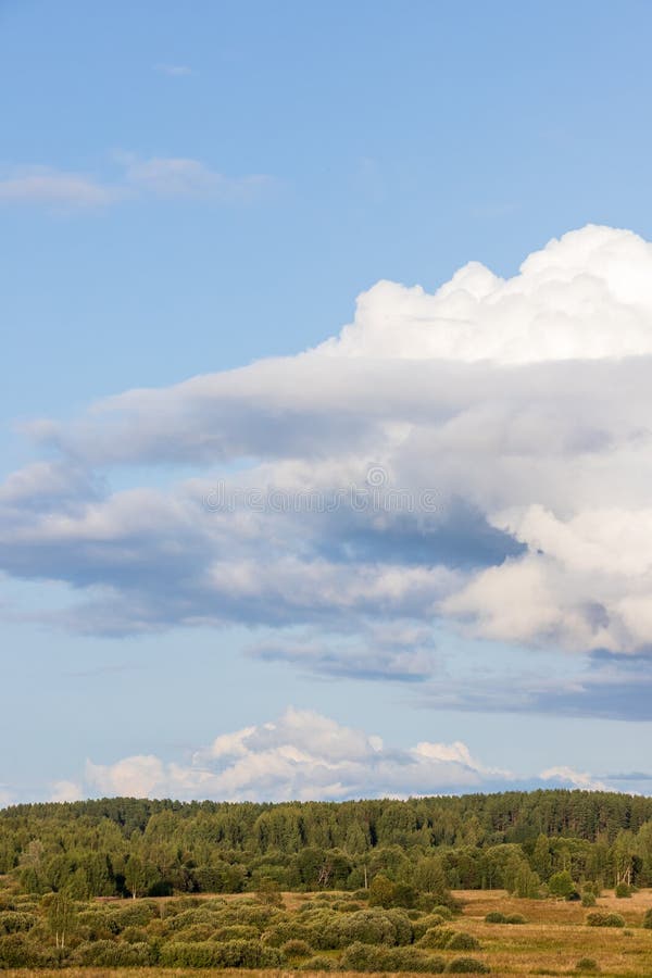Rural Landscape with Forest Under Cloudy Sky Stock Photo - Image of ...