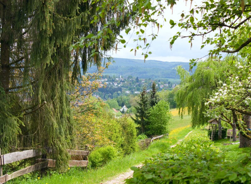 Rural landscape stock photo. Image of nature, outdoors - 31079026