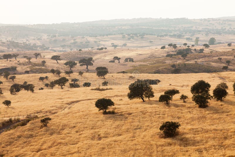 Rural Landscape with Grassland and a Mist Stock Photo - Image of rustic ...