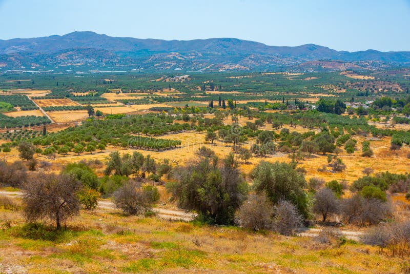 Rural Landscape of Greek Island Crete Stock Photo - Image of olive ...