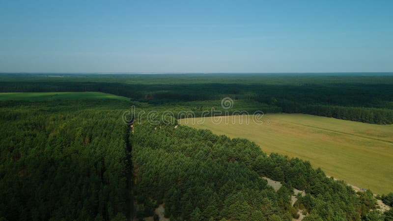 Rural Landscape. Green Forests and Fields Stock Photo - Image of ...