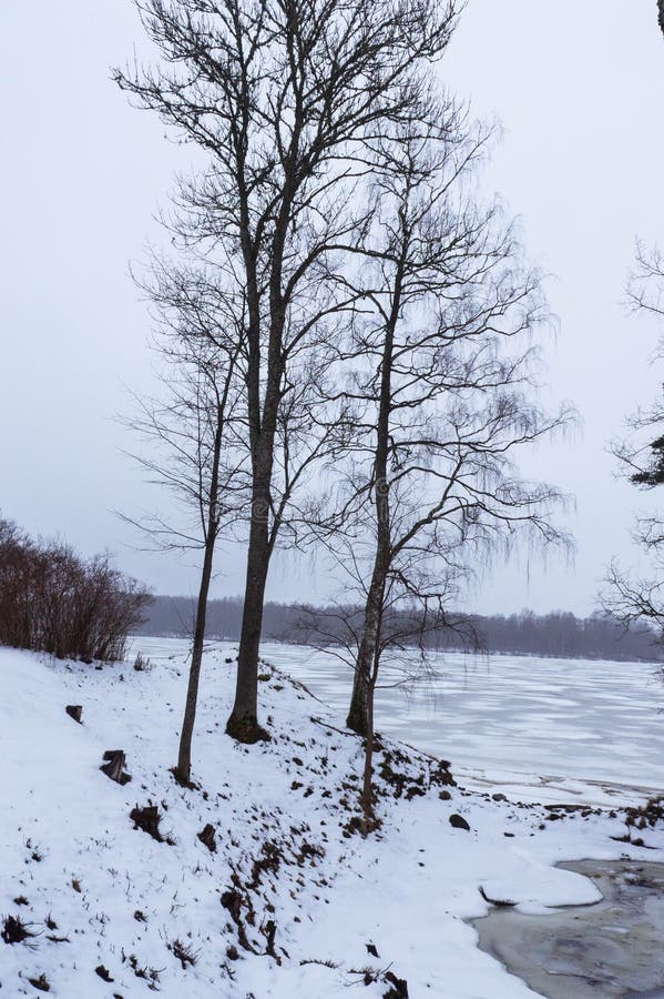 Rural landscape stock photo. Image of early, spring, outdoor - 88541252