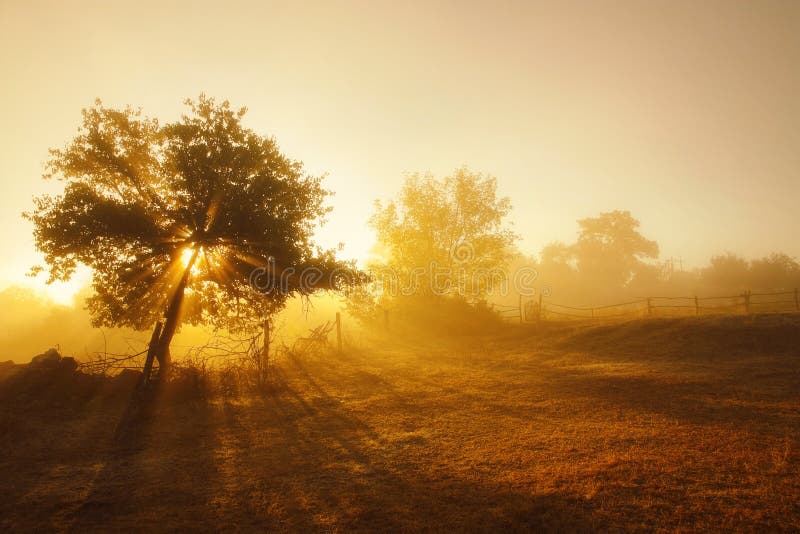 Rural Landscape stock image. Image of nature, fence, bright - 75443953