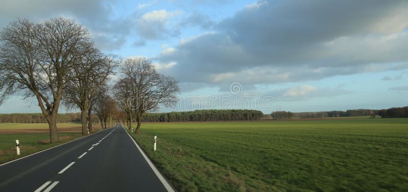 Rural Landscape in Northern Germany with Alley Stock Image - Image of ...