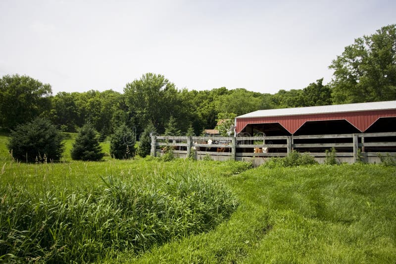 Agricultural Background and Rural Life at Summer. Stock Image - Image ...