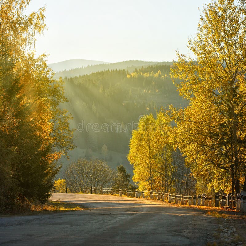 Rural Landscape with Old Road in Autumn Forest Stock Image - Image of ...