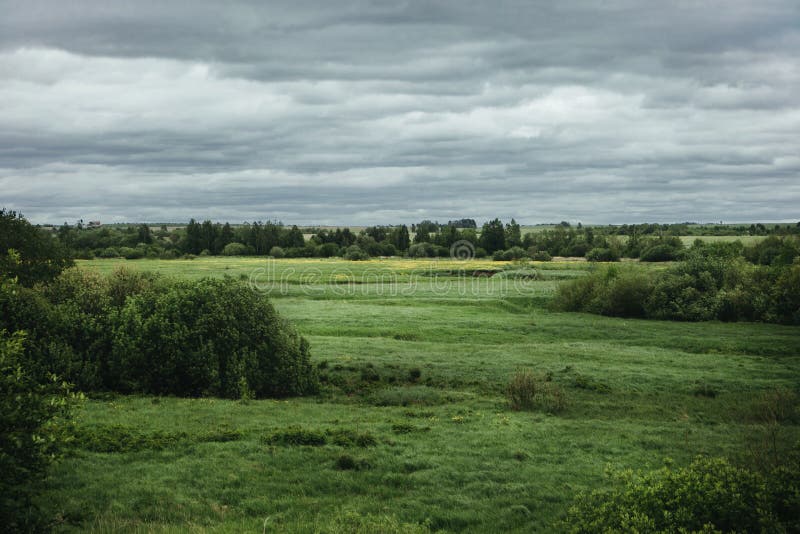 A Rural Landscape Overlooking a Clearing with Flowers, Groves and ...