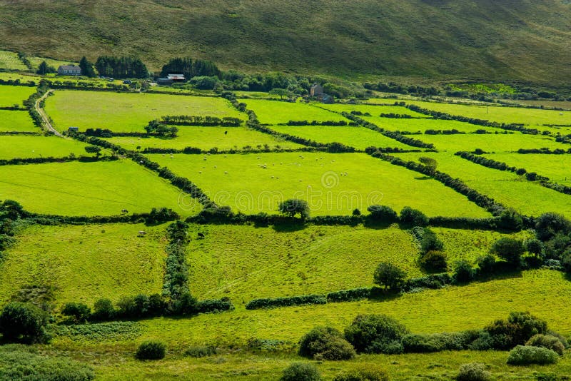 Rural Landscape with Pastures in Ireland Stock Image - Image of ...