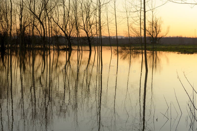 Rural Landscape of the Po Valley in Emilia Romagna Stock Image - Image ...